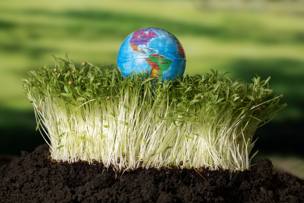 Green Shoots: Sustainability-Driven SMEs Shaping India’s Biodiversity ...